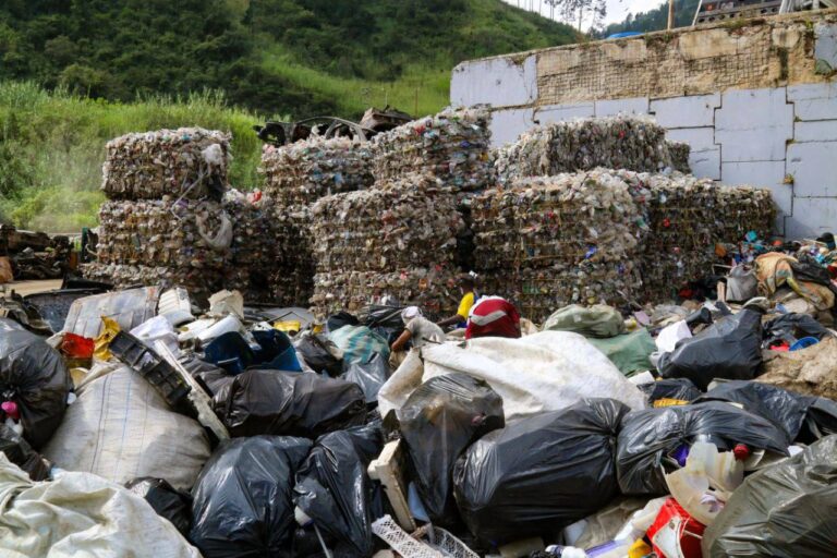 Comités para el Manejo de la Basura avanzan hacia una economía circular ...